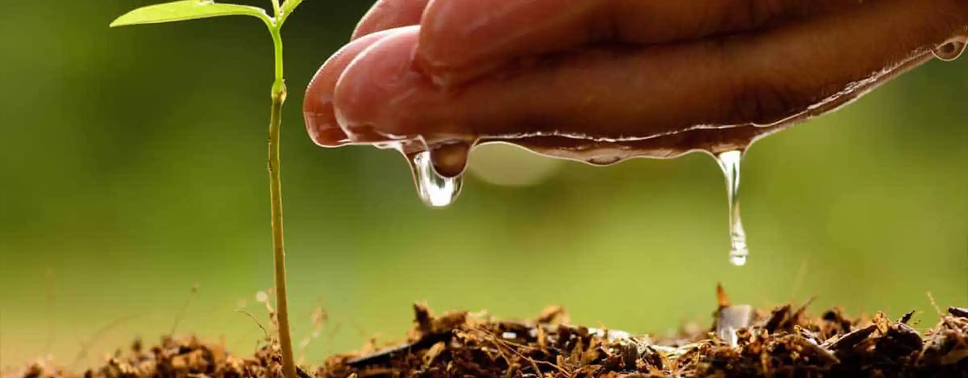 Wetting agent - Shanghai VanaBio Silicones Co., Ltd.